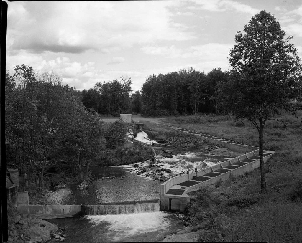 Fish ladder – 6/21/15 – Olympia Historical Society and Bigelow House Museum