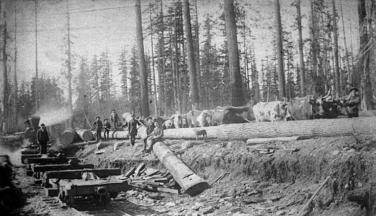 Logging in transition – 7/24/22 – Olympia Historical Society and ...